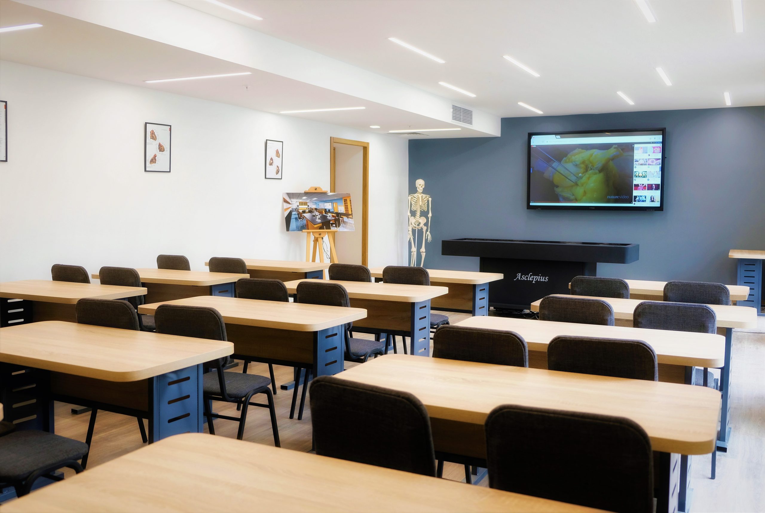 East European University (EEU)